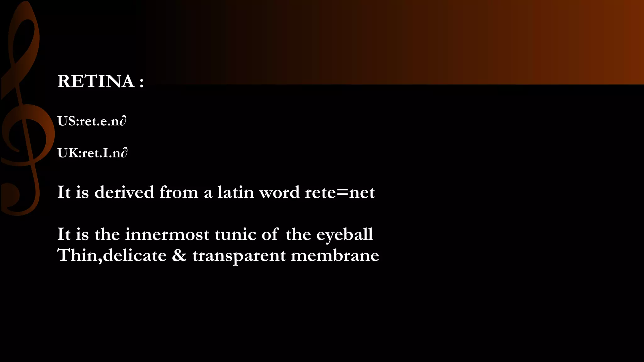 anatomy of retina | PPTX