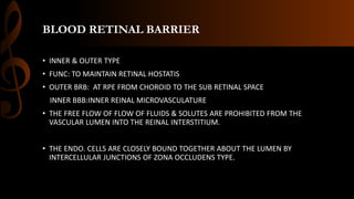 anatomy of retina | PPTX