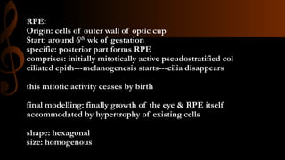 anatomy of retina | PPTX