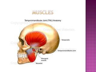Development and anatomy of temporomandibular joint | PPT