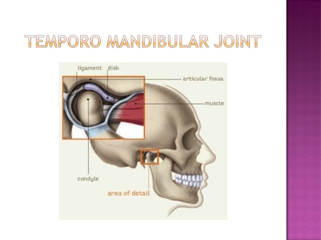 Development and anatomy of temporomandibular joint