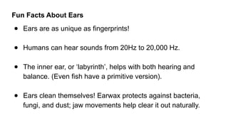 Development and Basic Applied Anatomy of the Ear.pptx