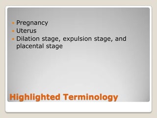 Development and birth | PPT