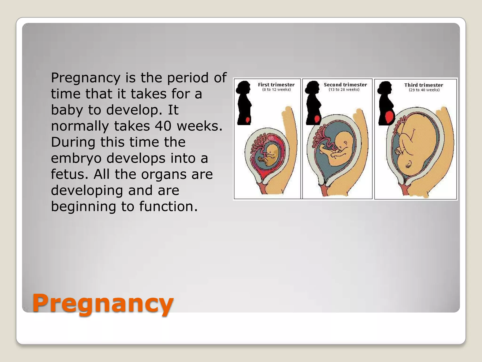 Development and birth | PPTX