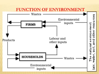 Economic Development and Environment | PPTX