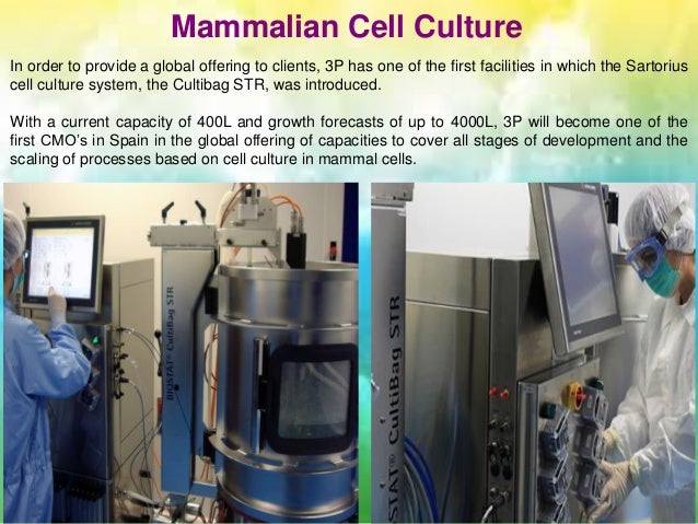 Biologics Manufacturing Services