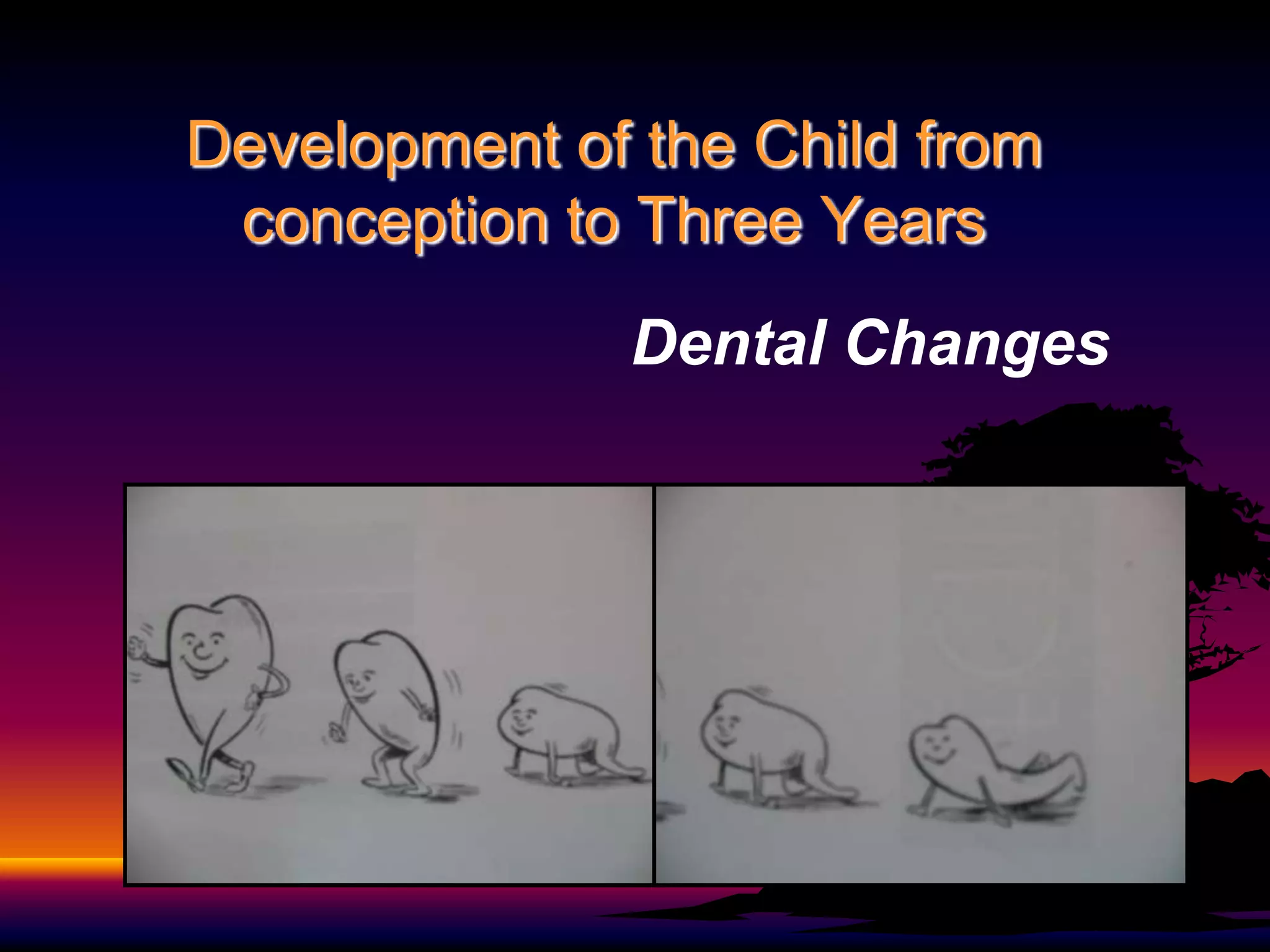 Development and morphology of primary teeth | PPT