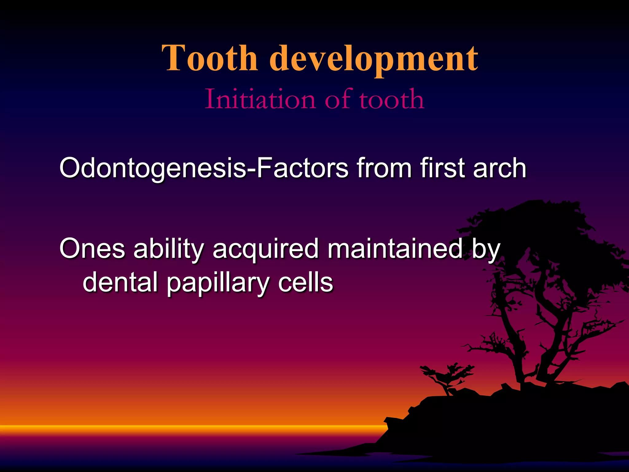 Development and morphology of primary teeth | PPT
