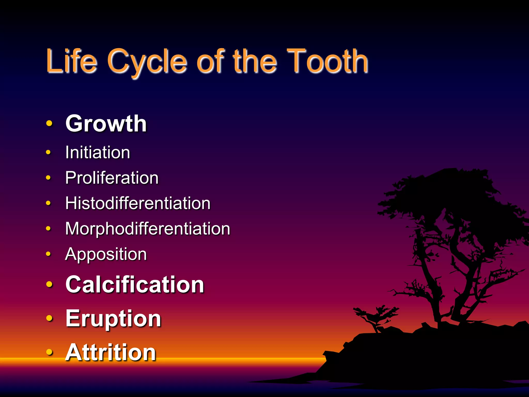 Development and morphology of primary teeth | PPT