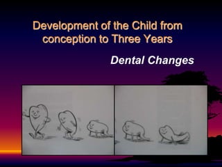 Development and morphology of primary teeth | PPT