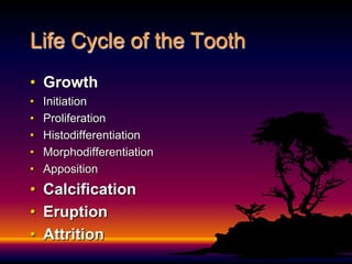 Development and morphology of primary teeth | PPT