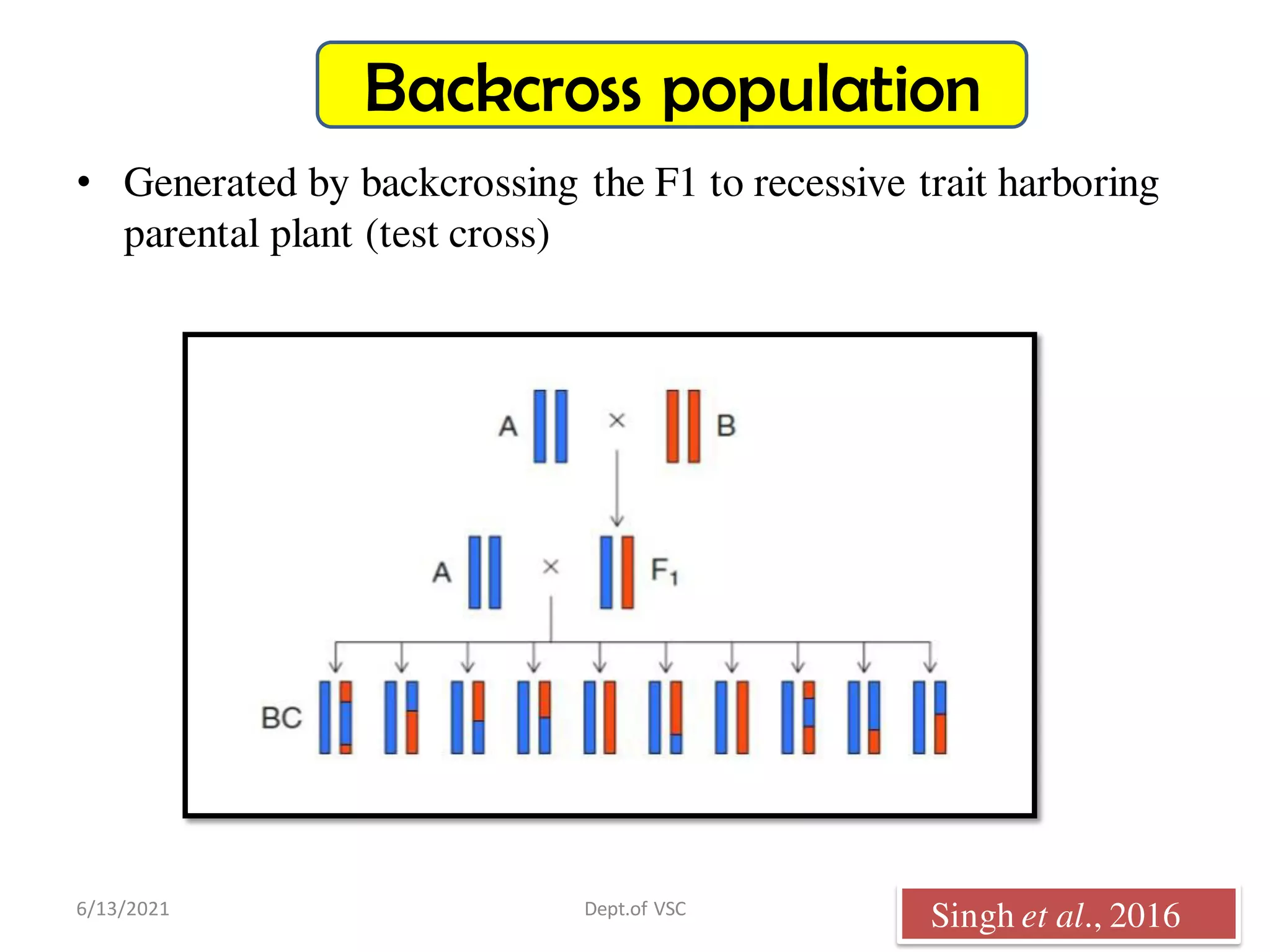 Development and use of different mapping population in brinjal | PDF