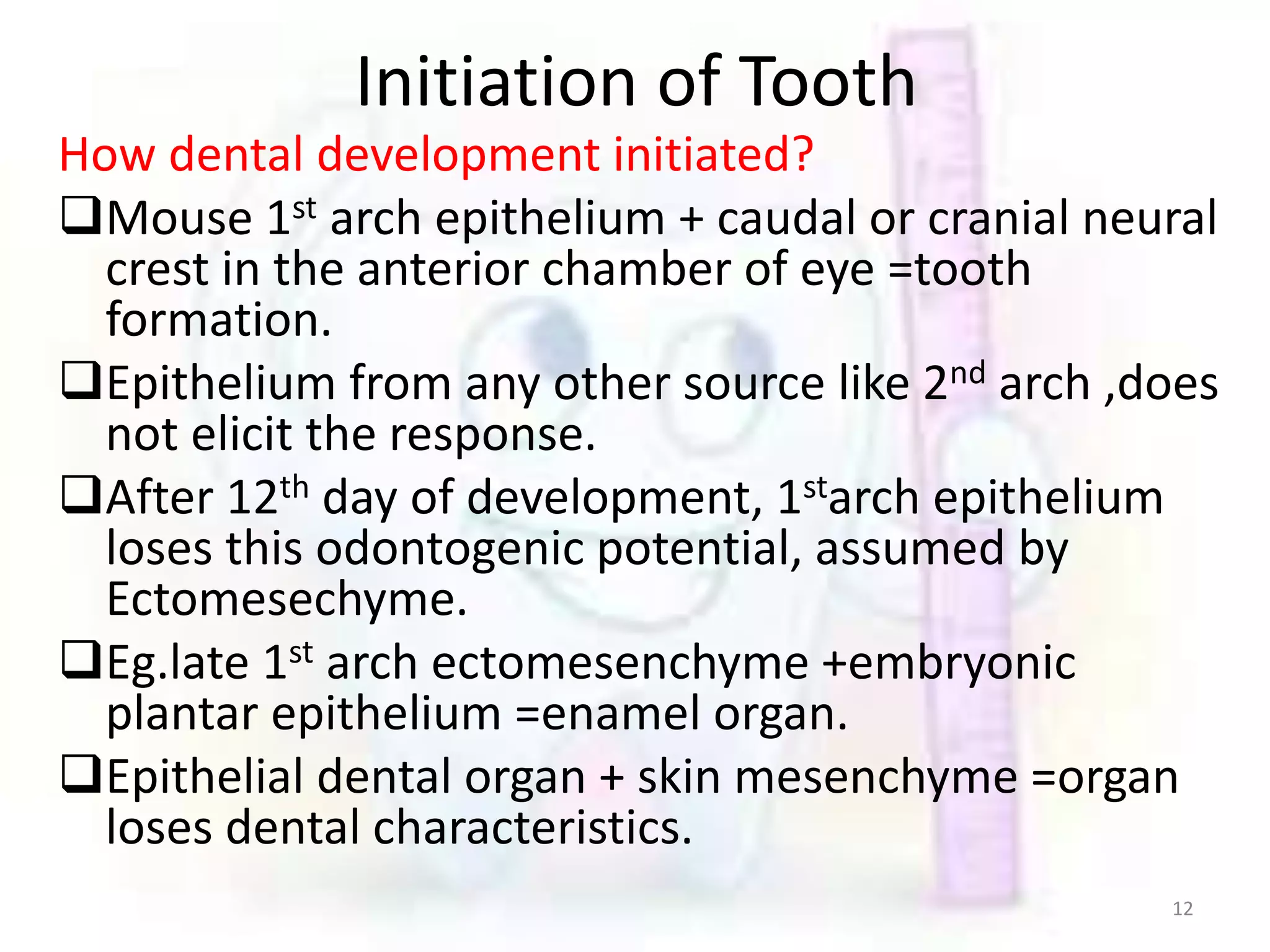 Development ang growth of teeth | PPTX