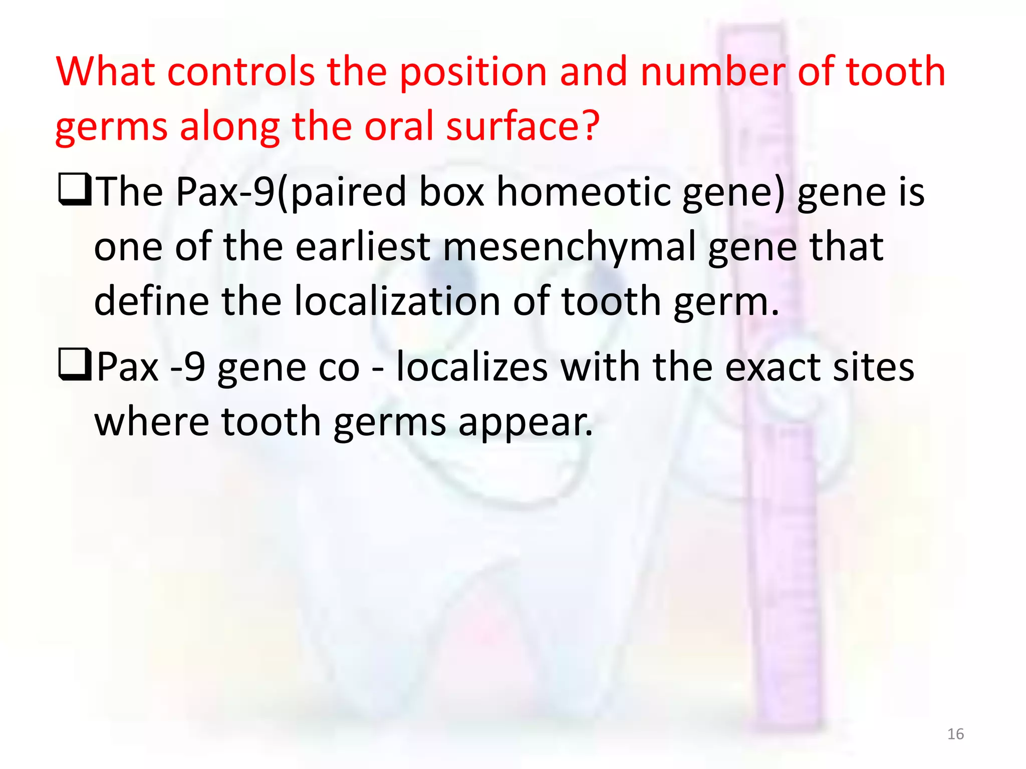 Development ang growth of teeth | PPTX