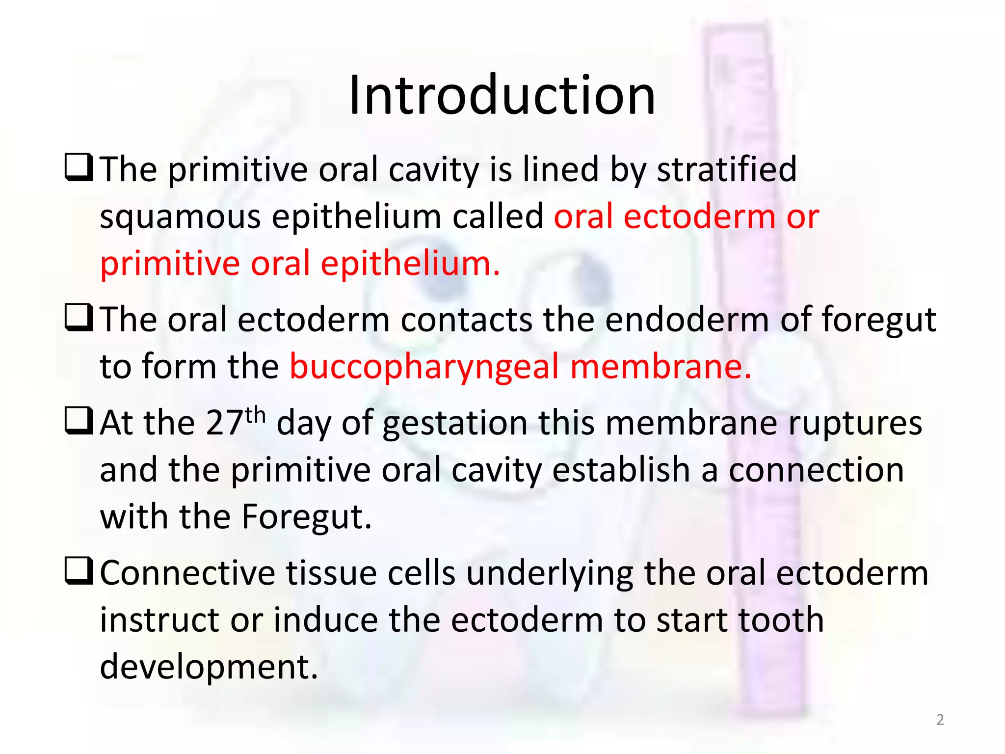 Development ang growth of teeth | PPTX