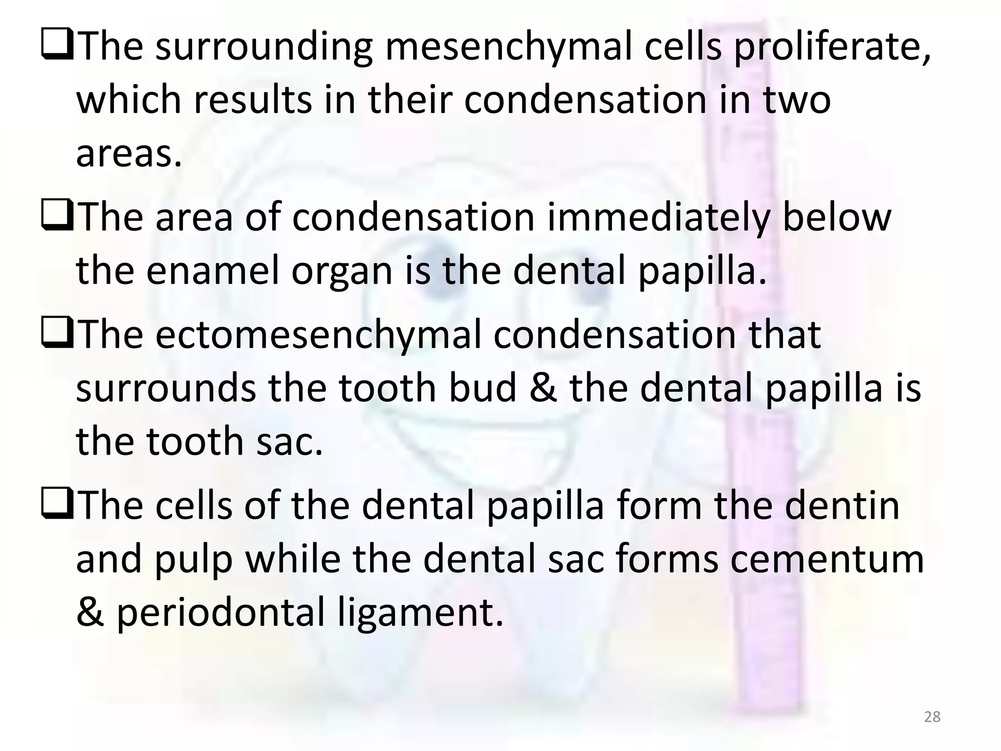 Development ang growth of teeth | PPTX
