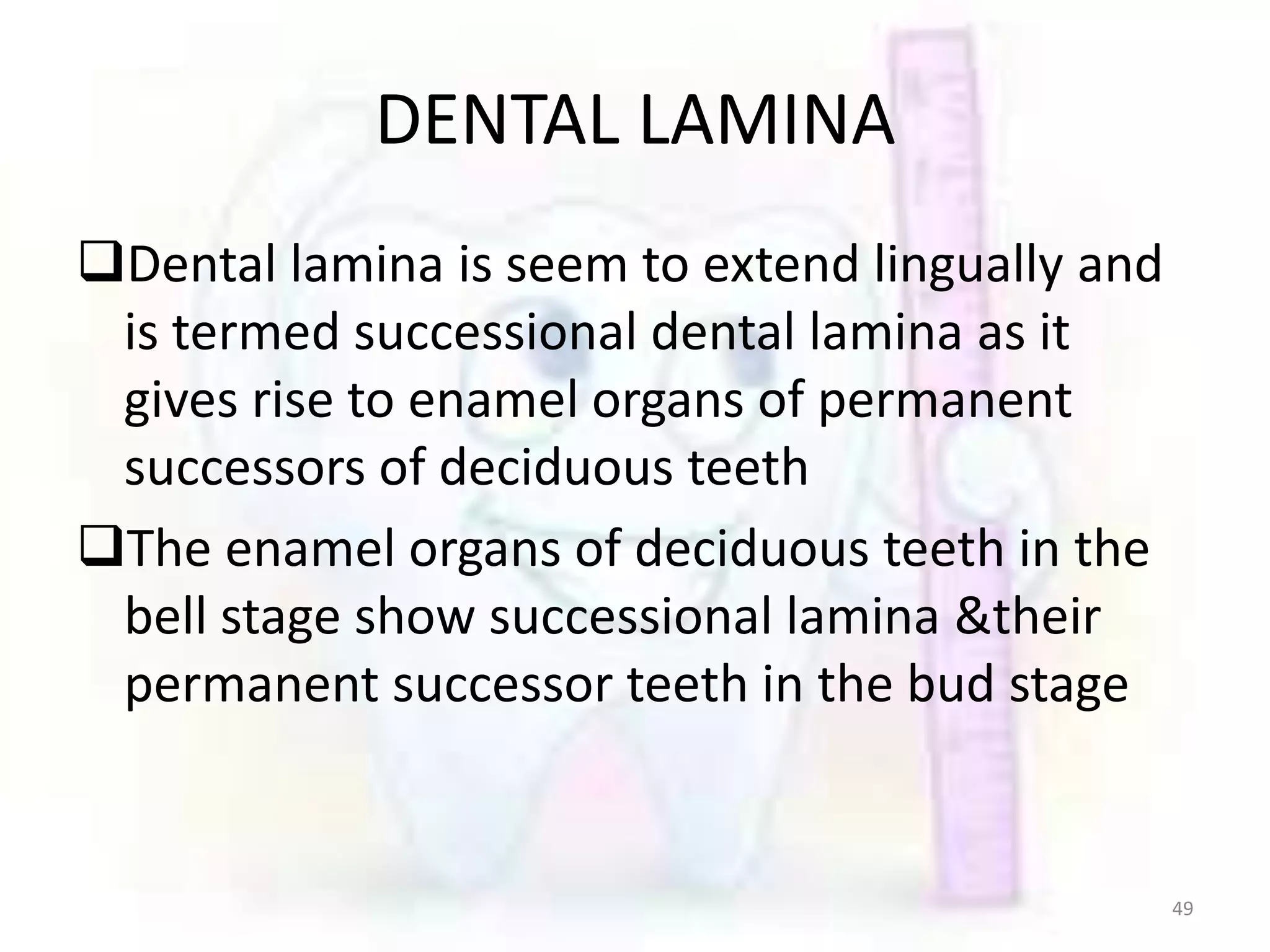 Development ang growth of teeth | PPTX