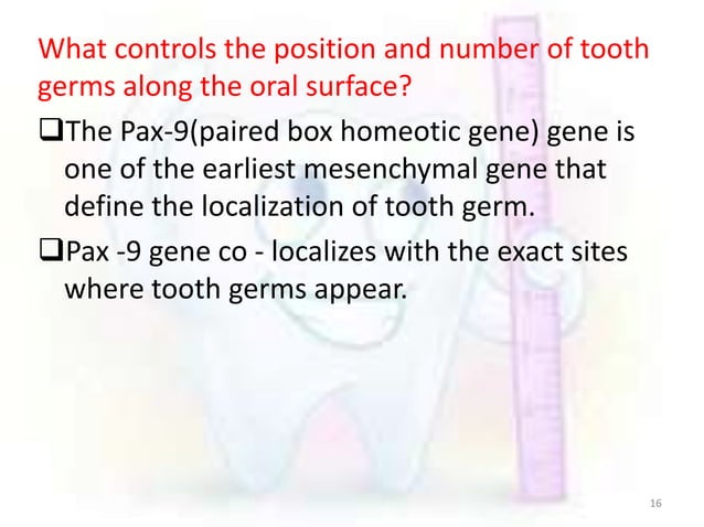 Development ang growth of teeth | PPTX