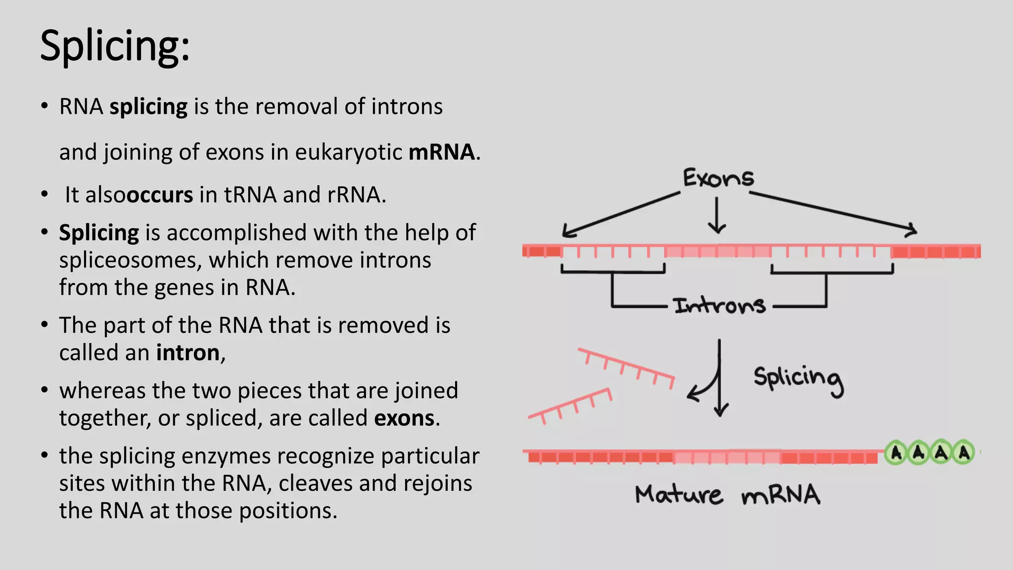 Development biology (rna processing and translational regulation of ...