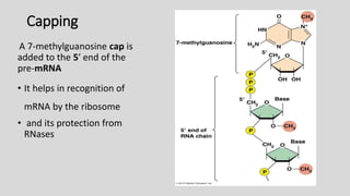 Development biology (rna processing and translational regulation of ...