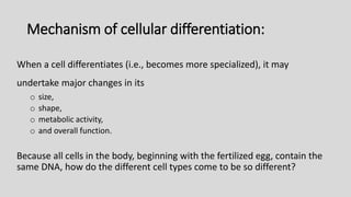 Development biology (rna processing and translational regulation of ...