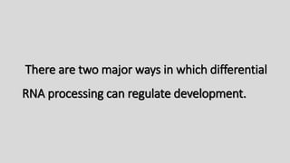 Development biology (rna processing and translational regulation of ...