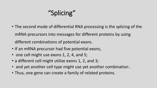 Development biology (rna processing and translational regulation of ...