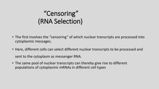 Development biology (rna processing and translational regulation of ...