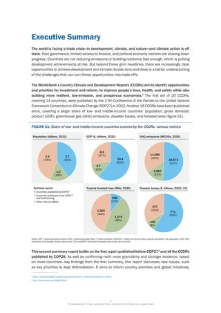 Development Climate Nature - Summary.pdf
