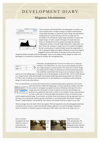 Magazine Advertisement Development Diary | PDF