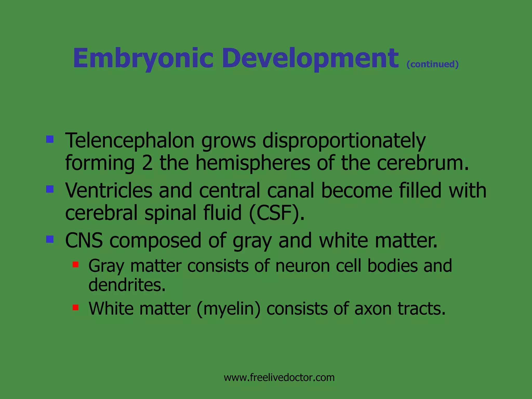 Development& Functions Of Various Parts Of Cns | PPT