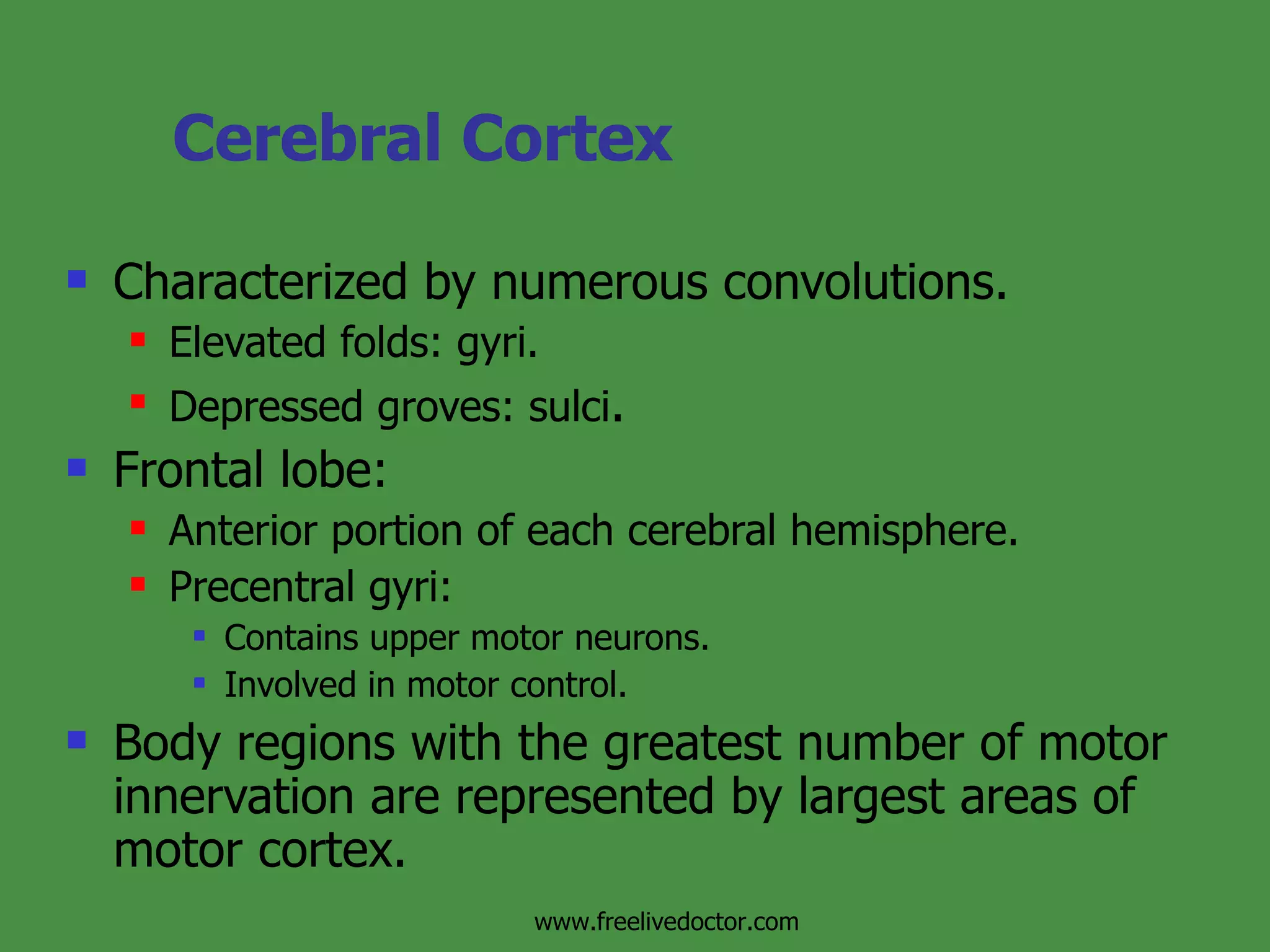 Development& Functions Of Various Parts Of Cns | PPT