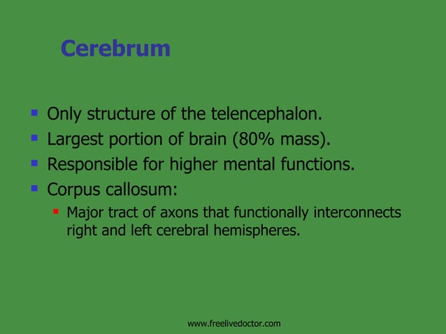 Development& Functions Of Various Parts Of Cns | PPT | Brain and ...