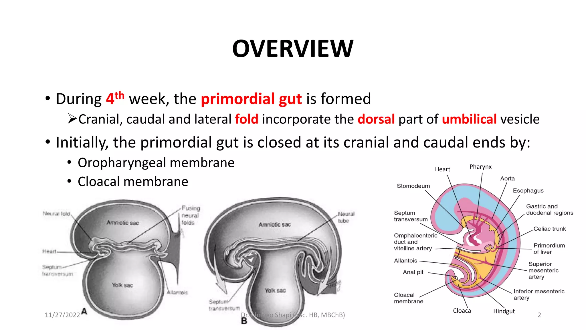 Development & histology of GIT & clinical considerations by Shapi. MD.pdf