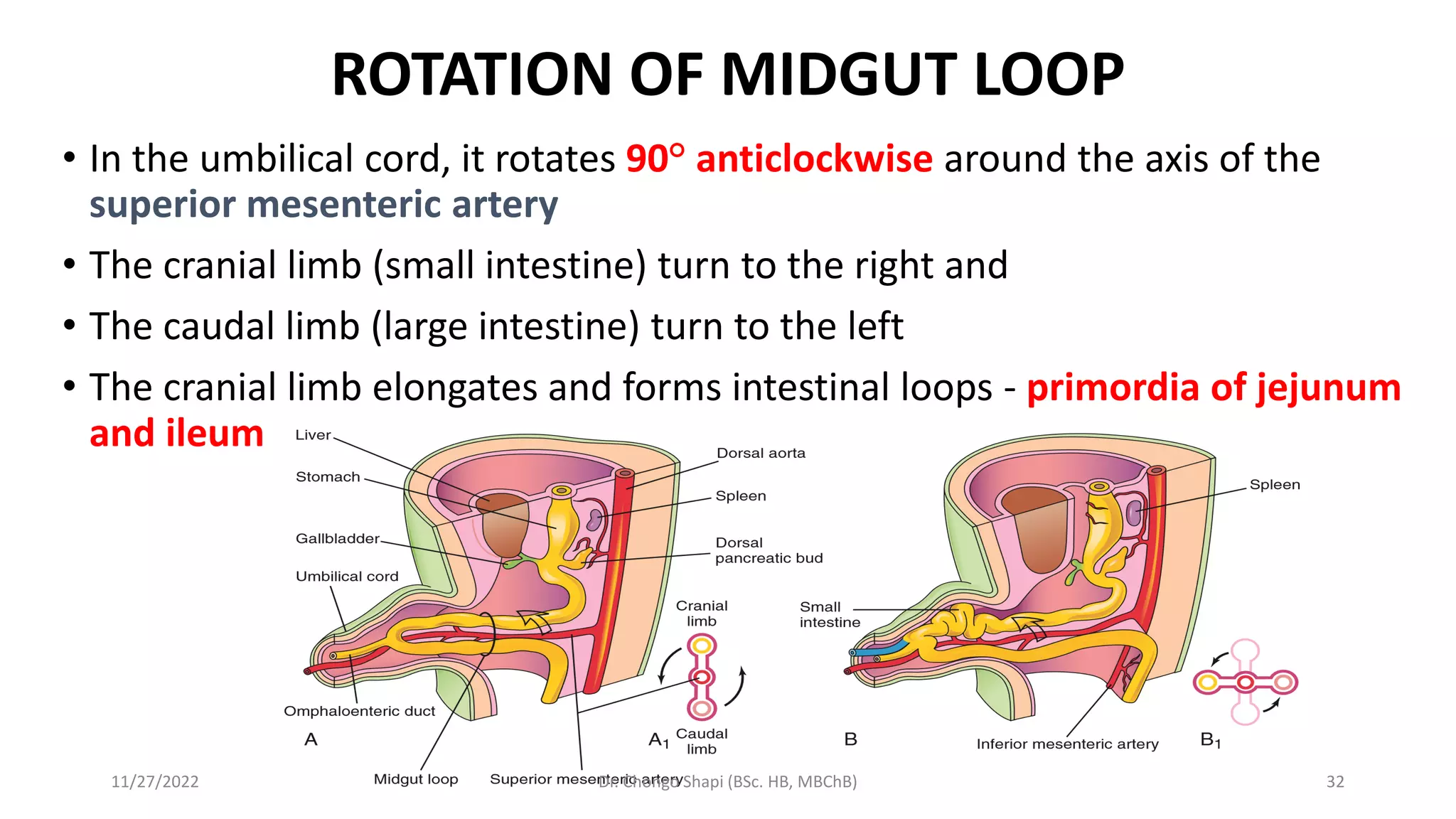 Development & histology of GIT & clinical considerations by Shapi. MD.pdf