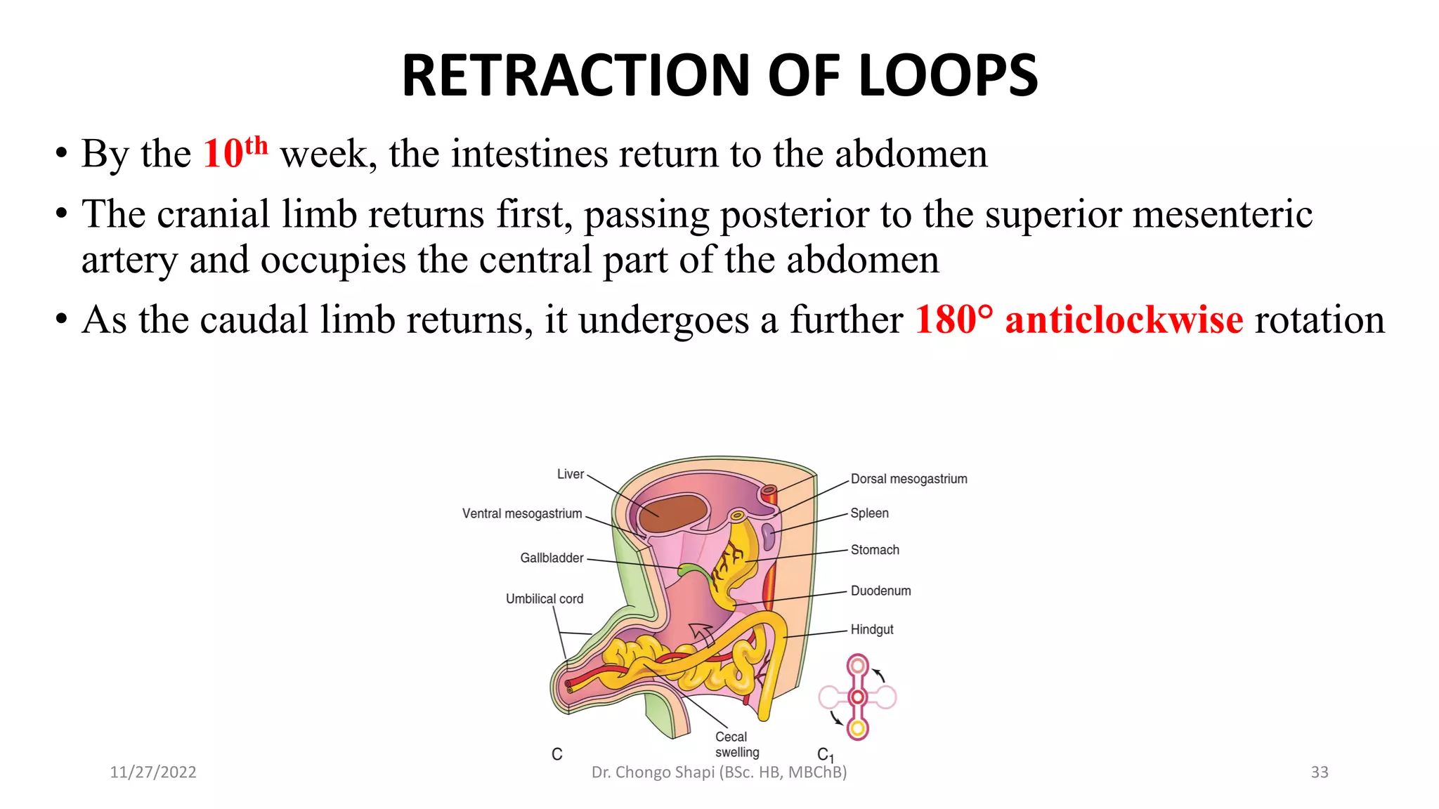 Development & histology of GIT & clinical considerations by Shapi. MD.pdf