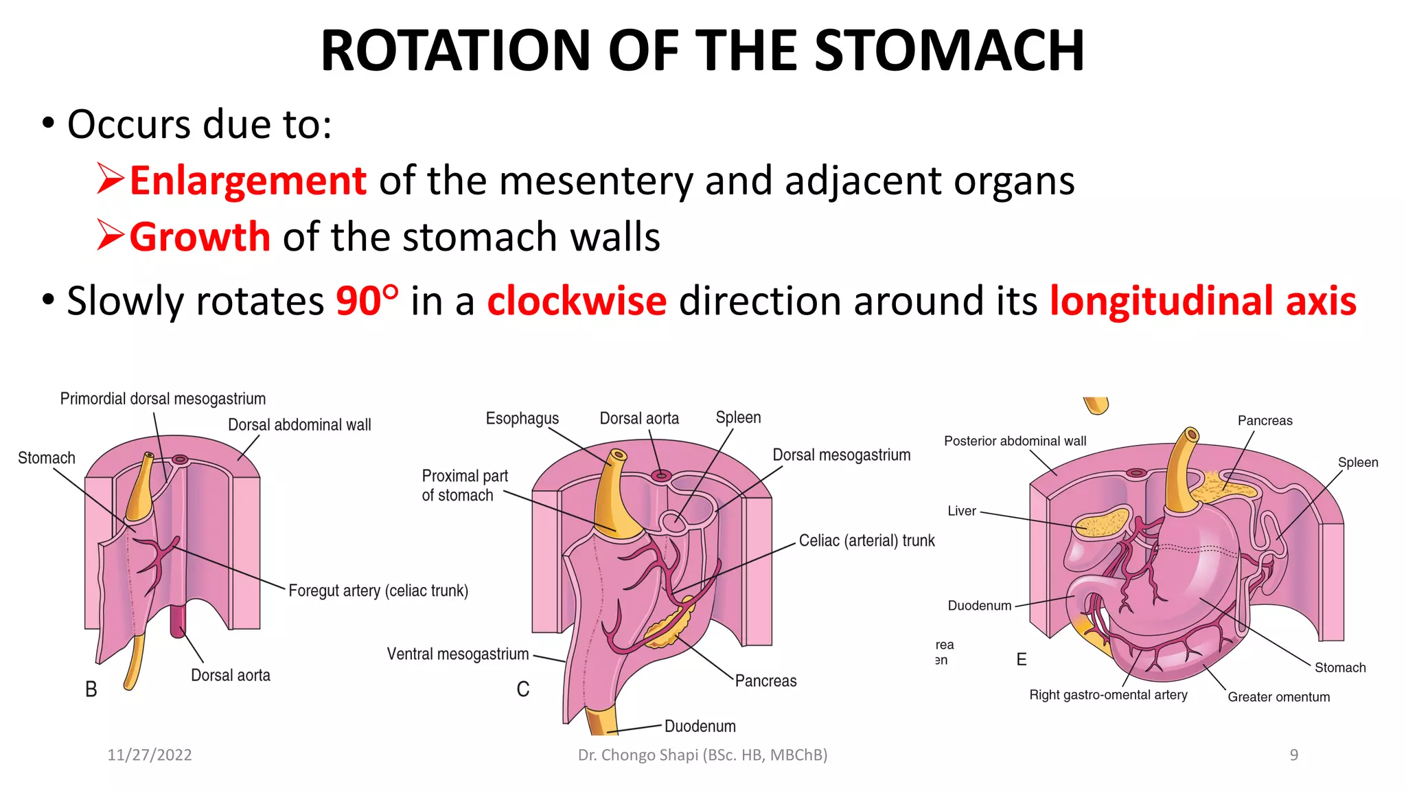 Development & histology of GIT & clinical considerations by Shapi. MD.pdf