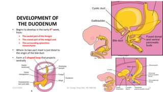 Development & histology of GIT & clinical considerations by Shapi. MD.pdf