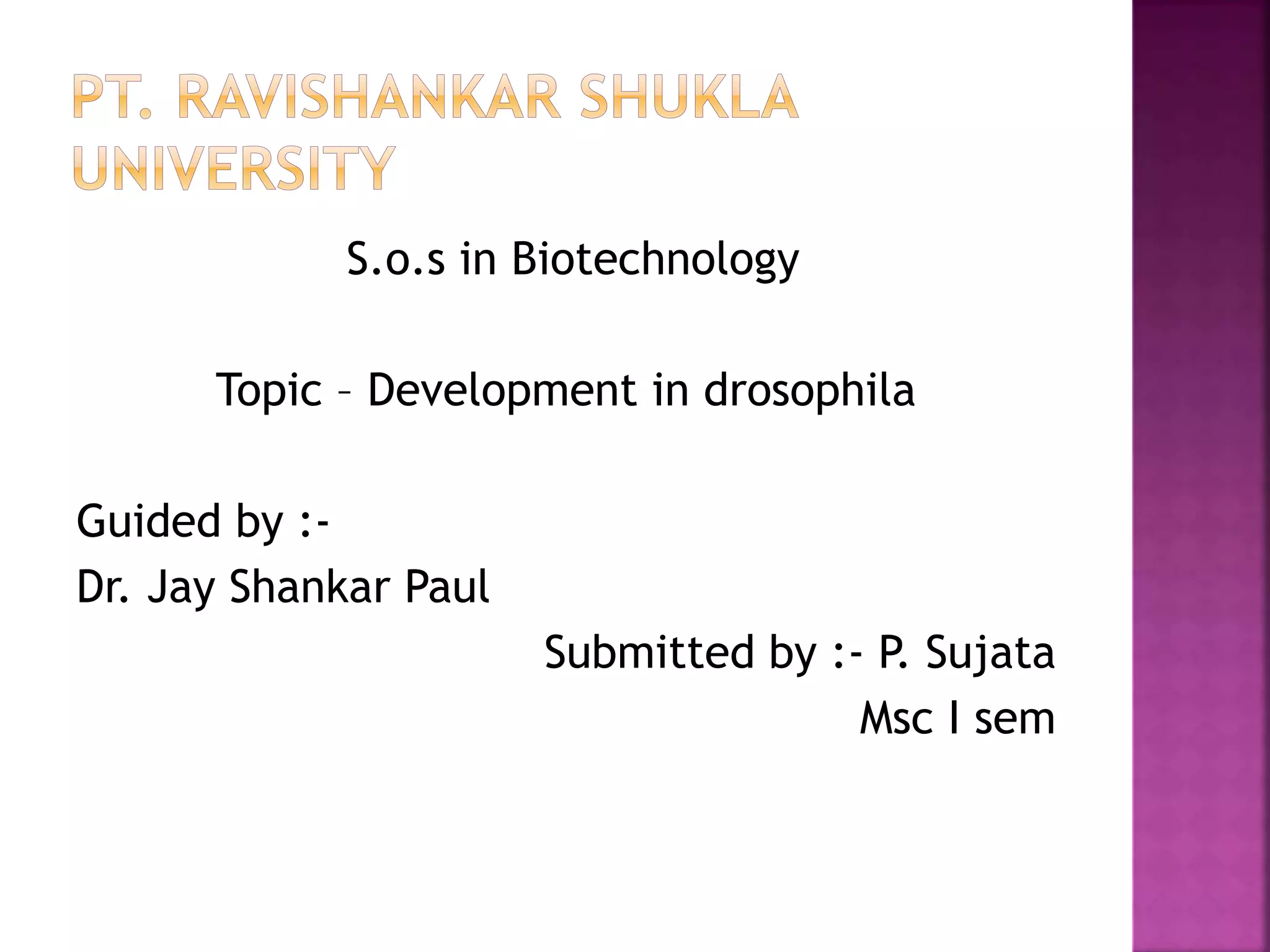 Development in drosophila ppt | PPTX