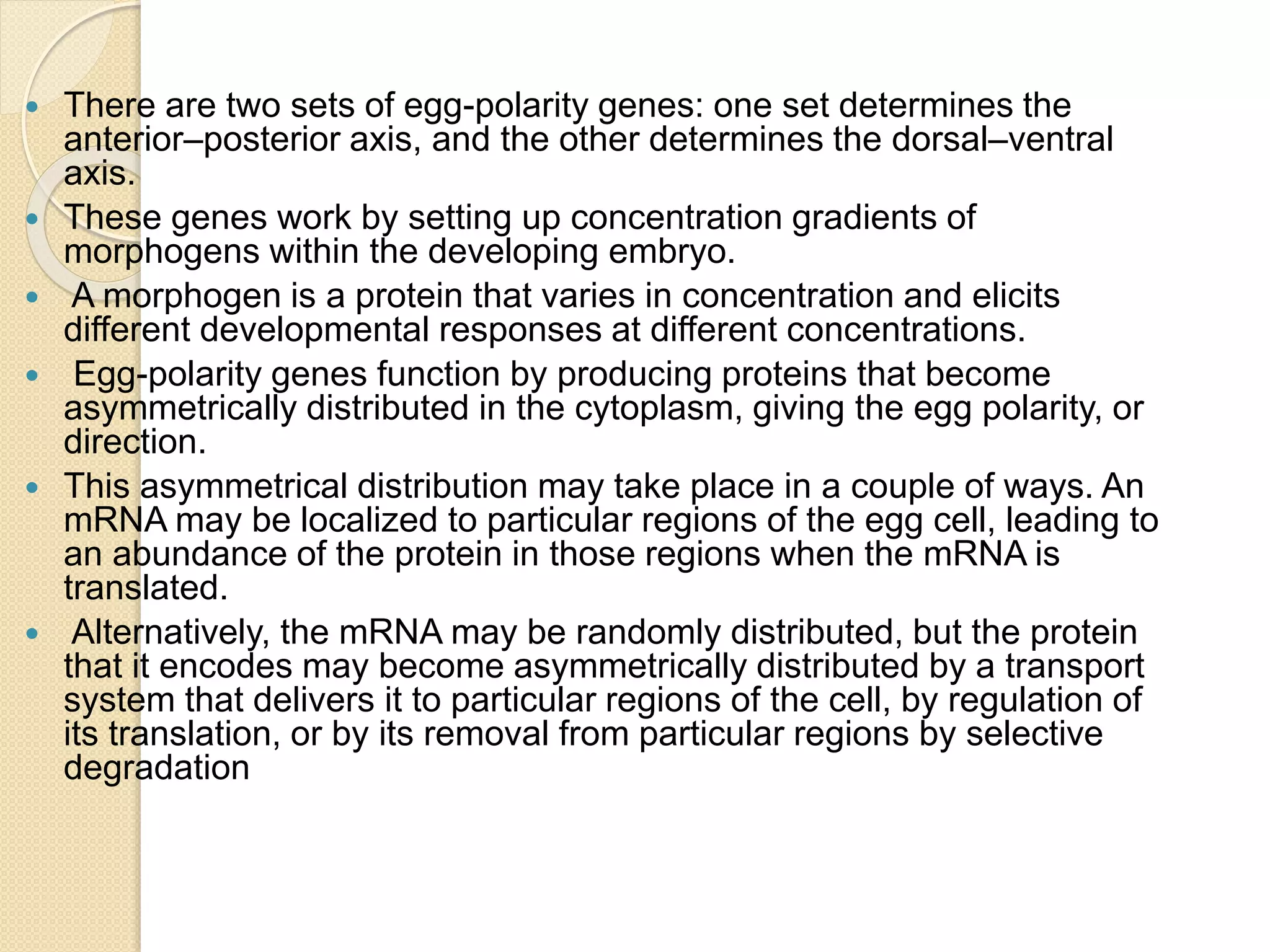 Development in drosophila ppt | PPTX