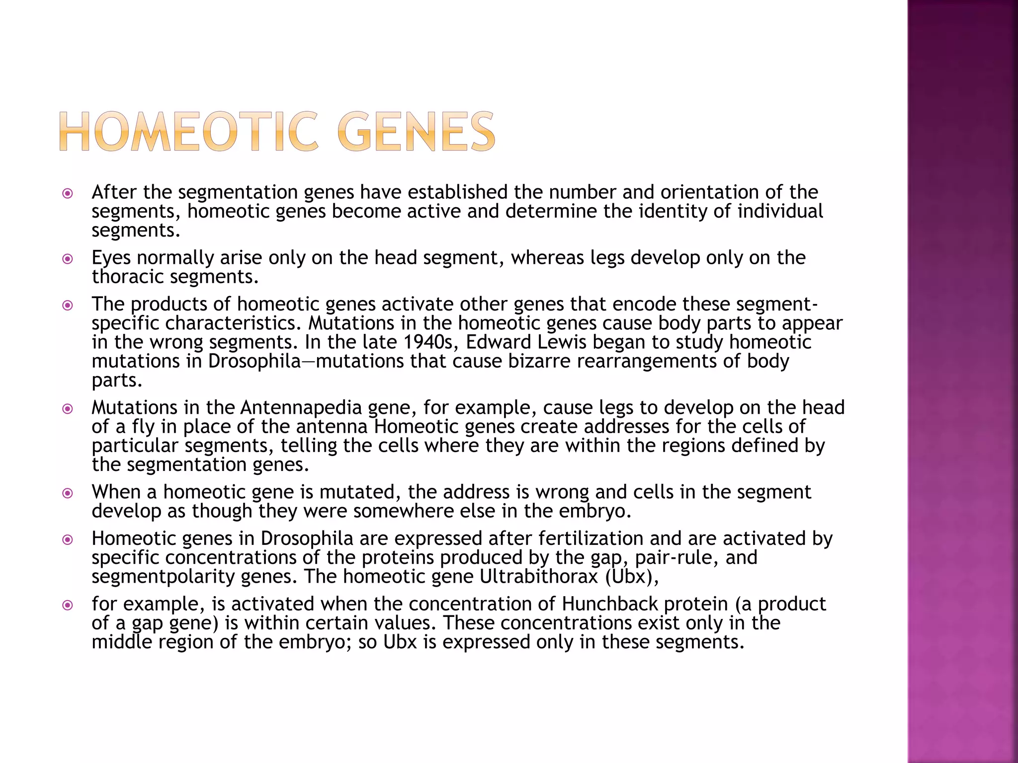 Development in drosophila ppt | PPTX