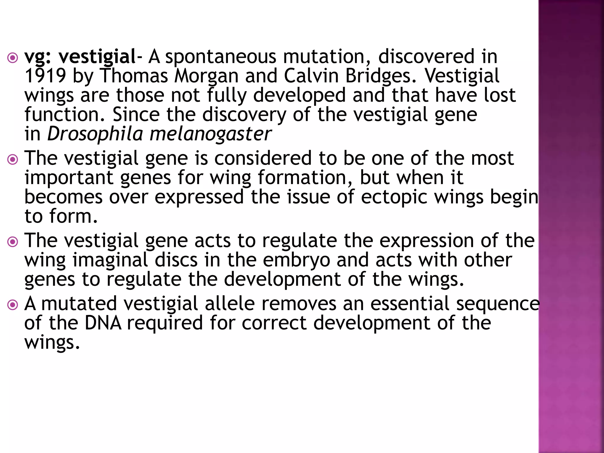 Development in drosophila ppt | PPTX
