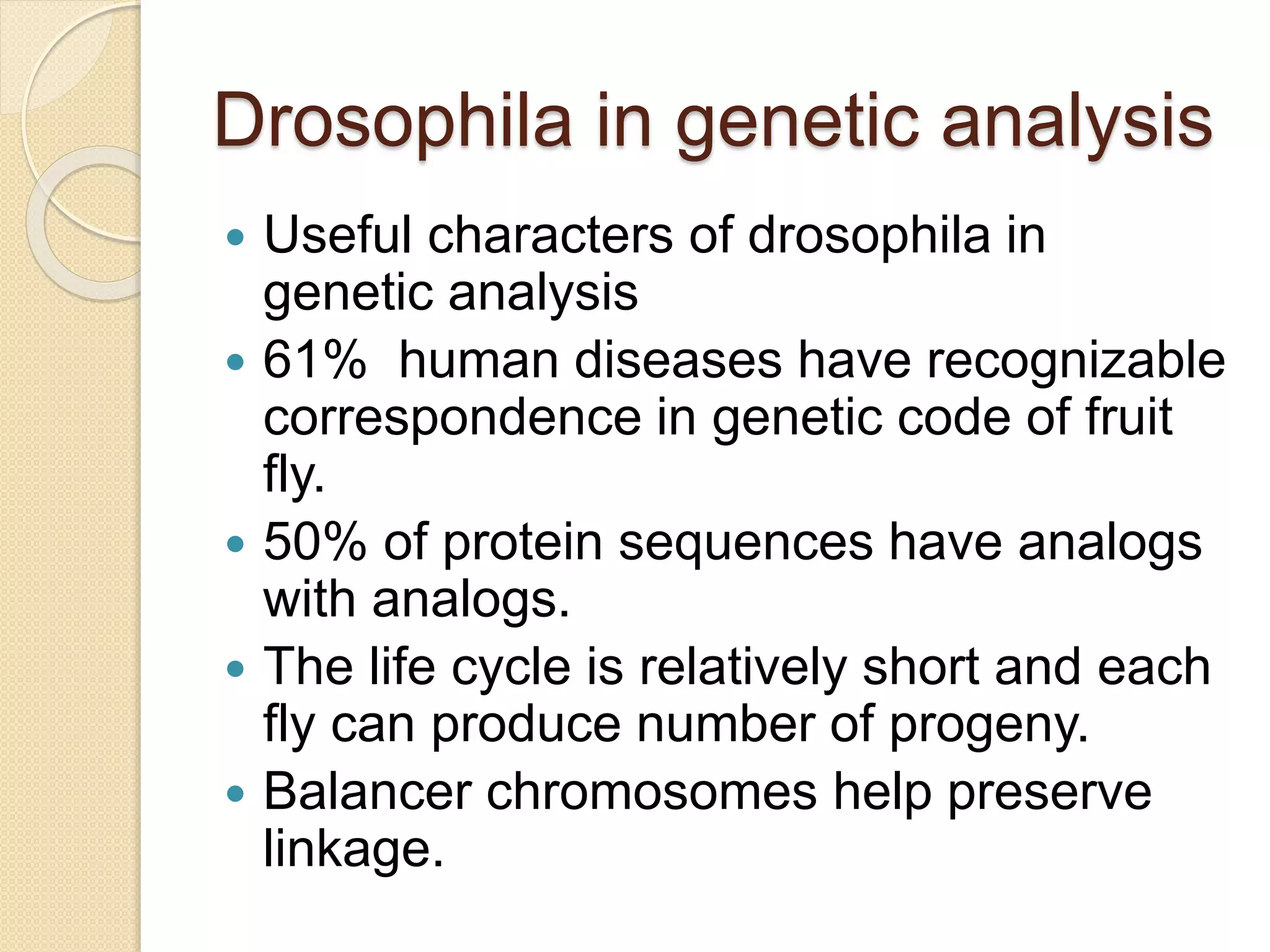 Development in drosophila ppt | PPTX