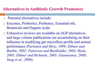 Developments in the Nutrient Requirement of Chicken | PPTX