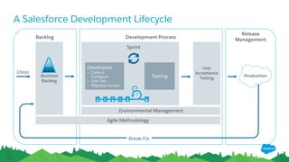 Salesforce Application Lifecycle Management presented to EA Forum by ...