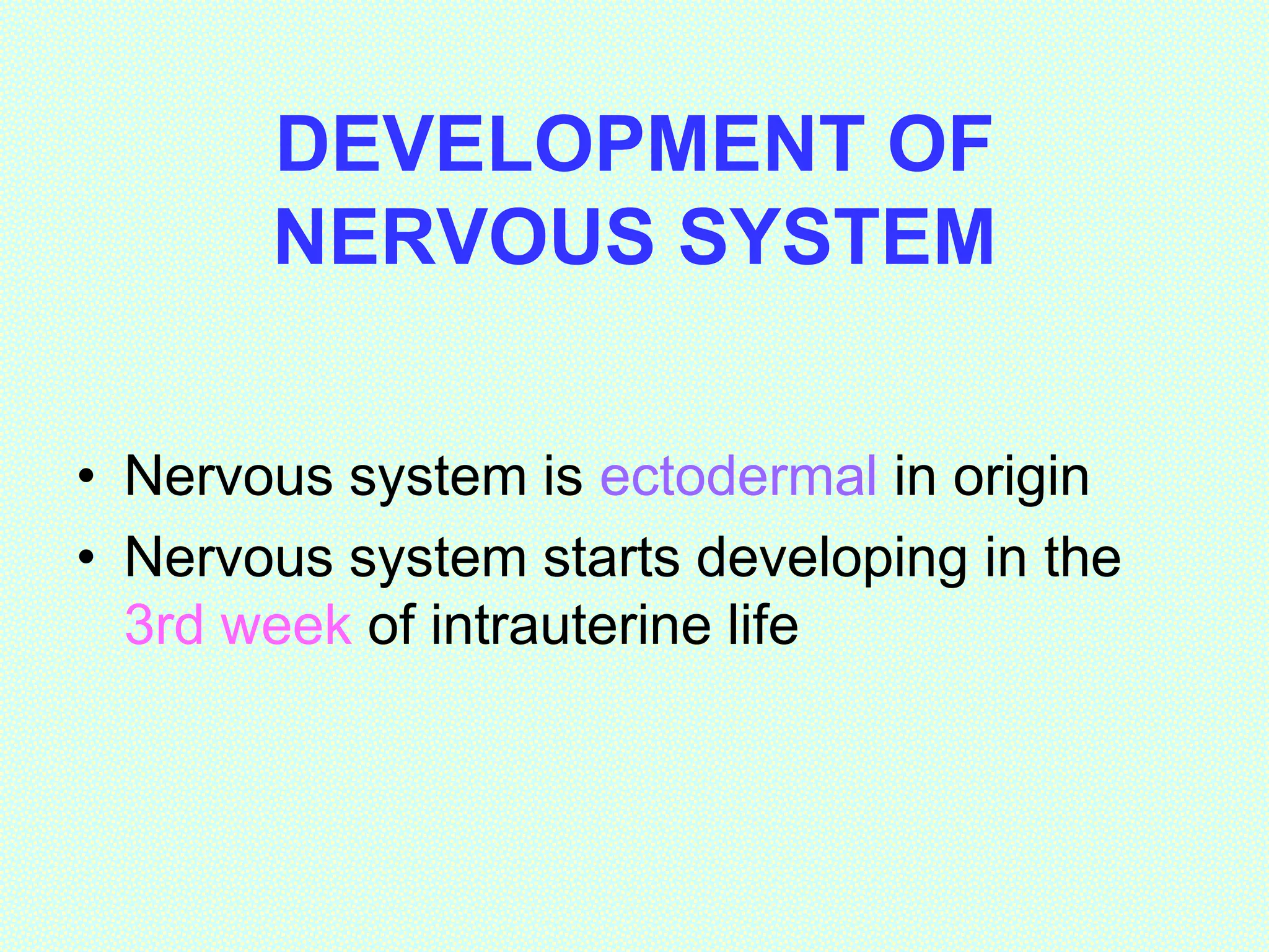 Development nervous system | PPT