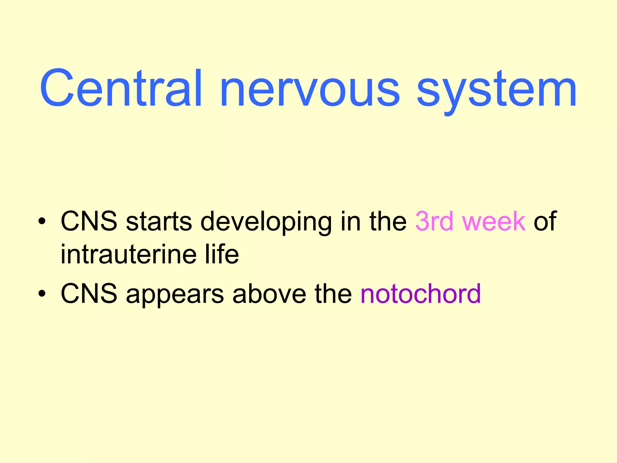 Development nervous system | PPT