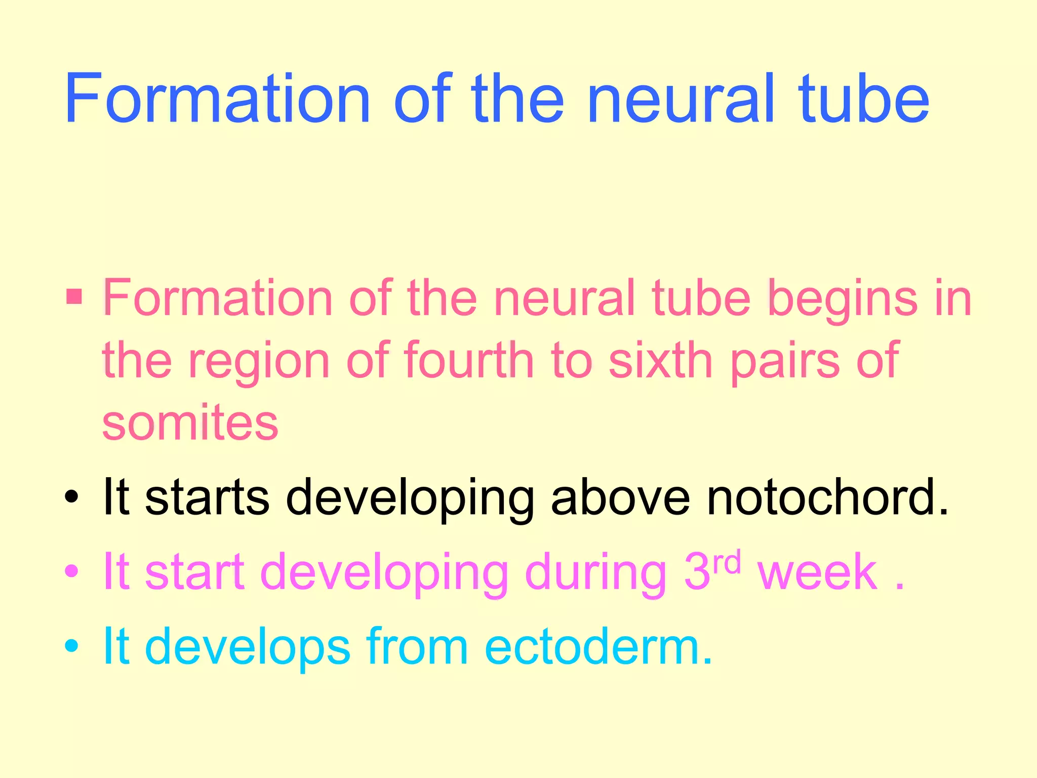 Development nervous system | PPT