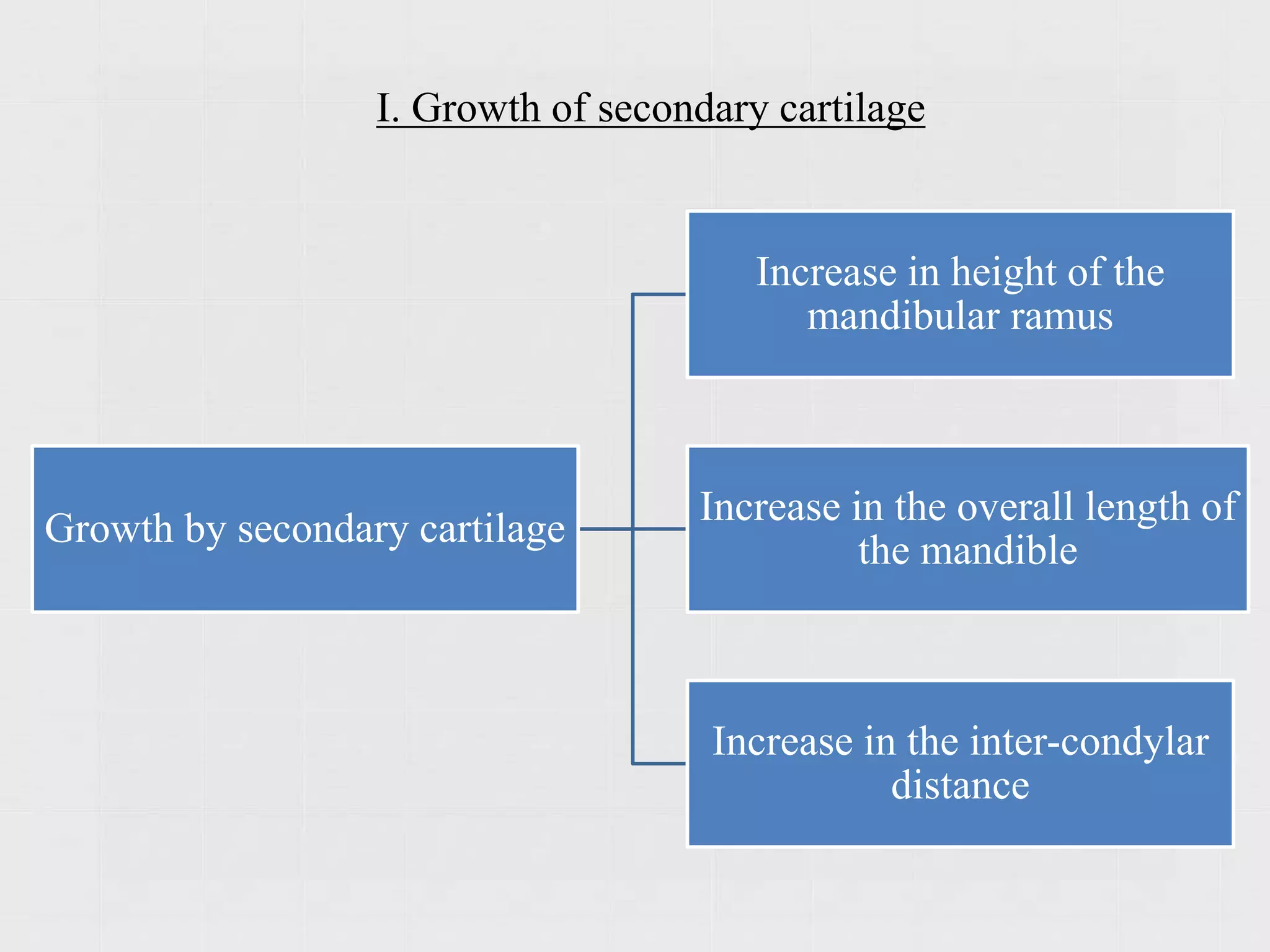 Development of mandible | PPTX