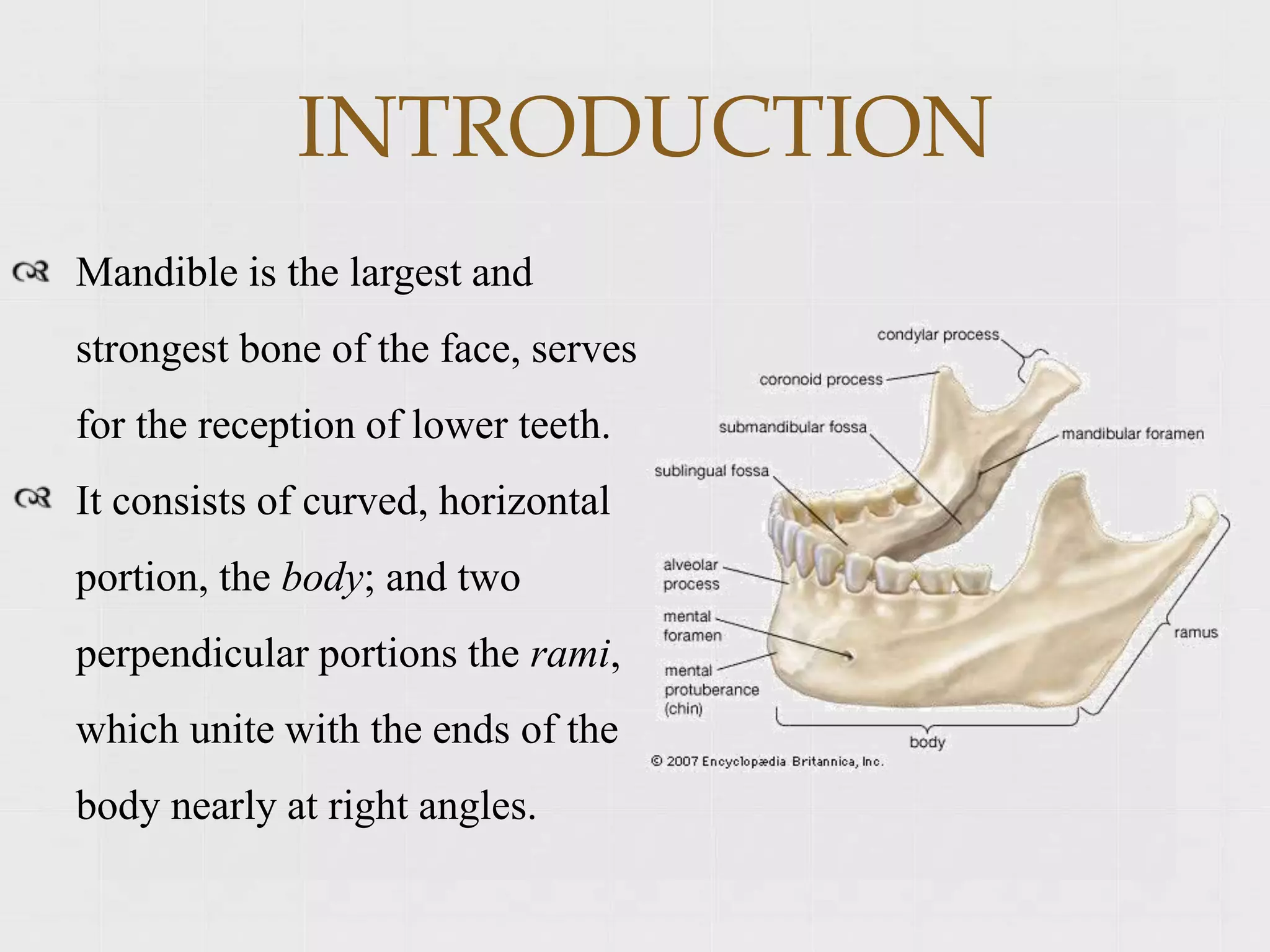 Development of mandible | PPTX